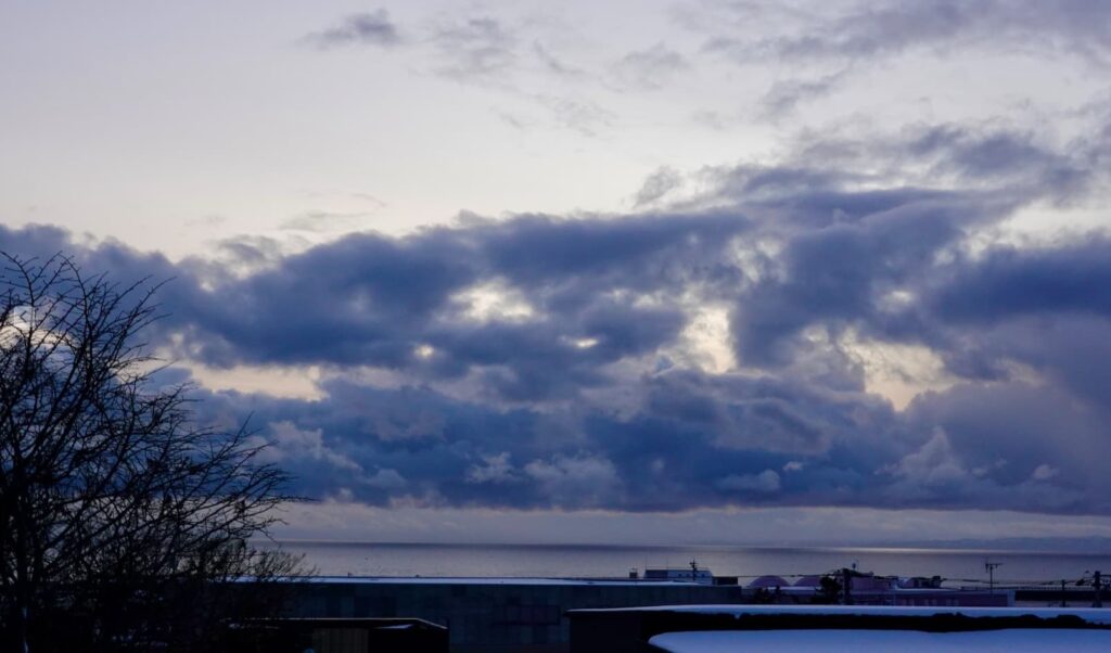 セミがうるさい日 | kayaker | むしゃなび blog